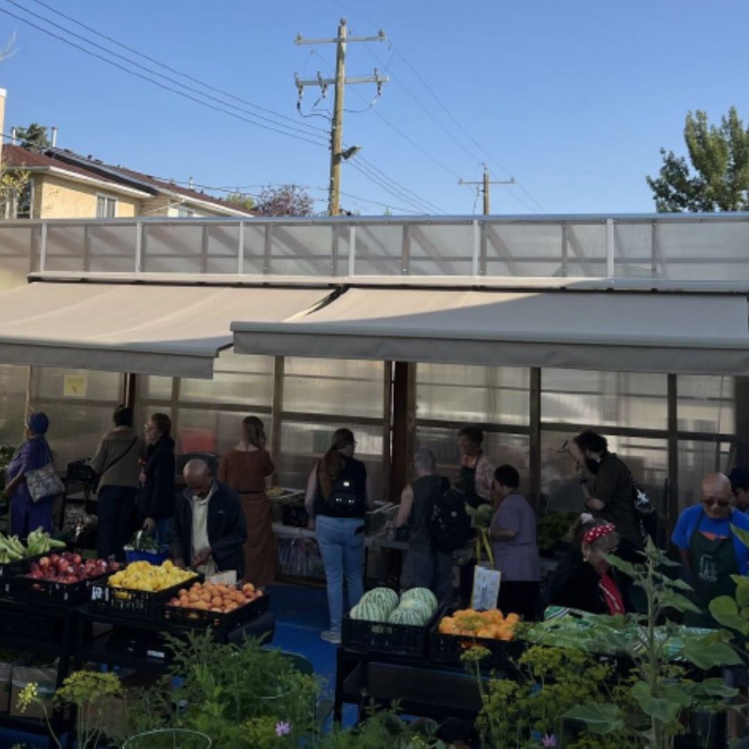 Sowing the Seeds of Resilience: How The Alex Community Food Centre Is ...