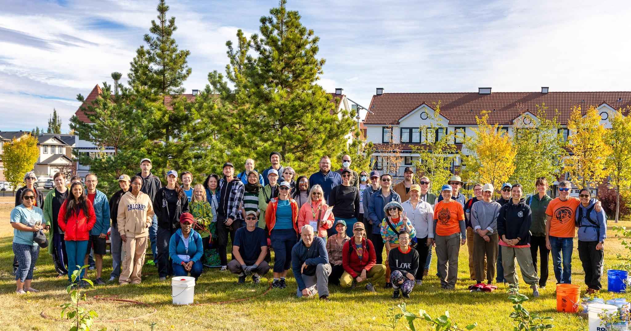 Growing Climate Resilience Through Tiny Forests and Community Action ...