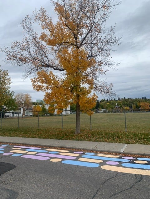 Westmount Charter Bus Lane - Federation of Calgary Communities